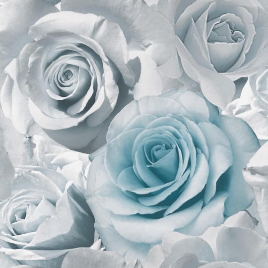 Blue Wallpaper | Stylish Wallpapers in Blue Tones